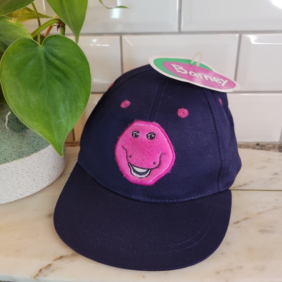 Barney | Accessories | 992 Barney Navy Blue Baseball Cap Lyons Group ...